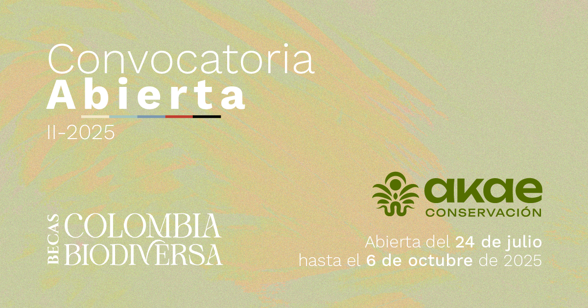 Abierta la segunda convocatoria del año para las Becas Colombia ...
